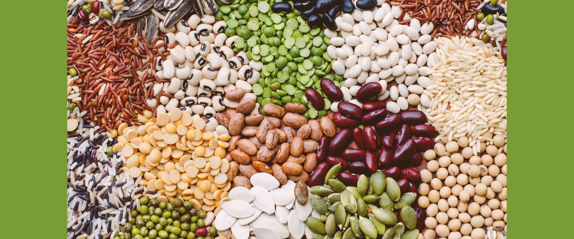 National Seed Trade Association of Ghana - Welcome Page | NASTAG ...